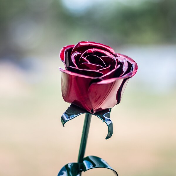 Metal Rose Dxf - Etsy