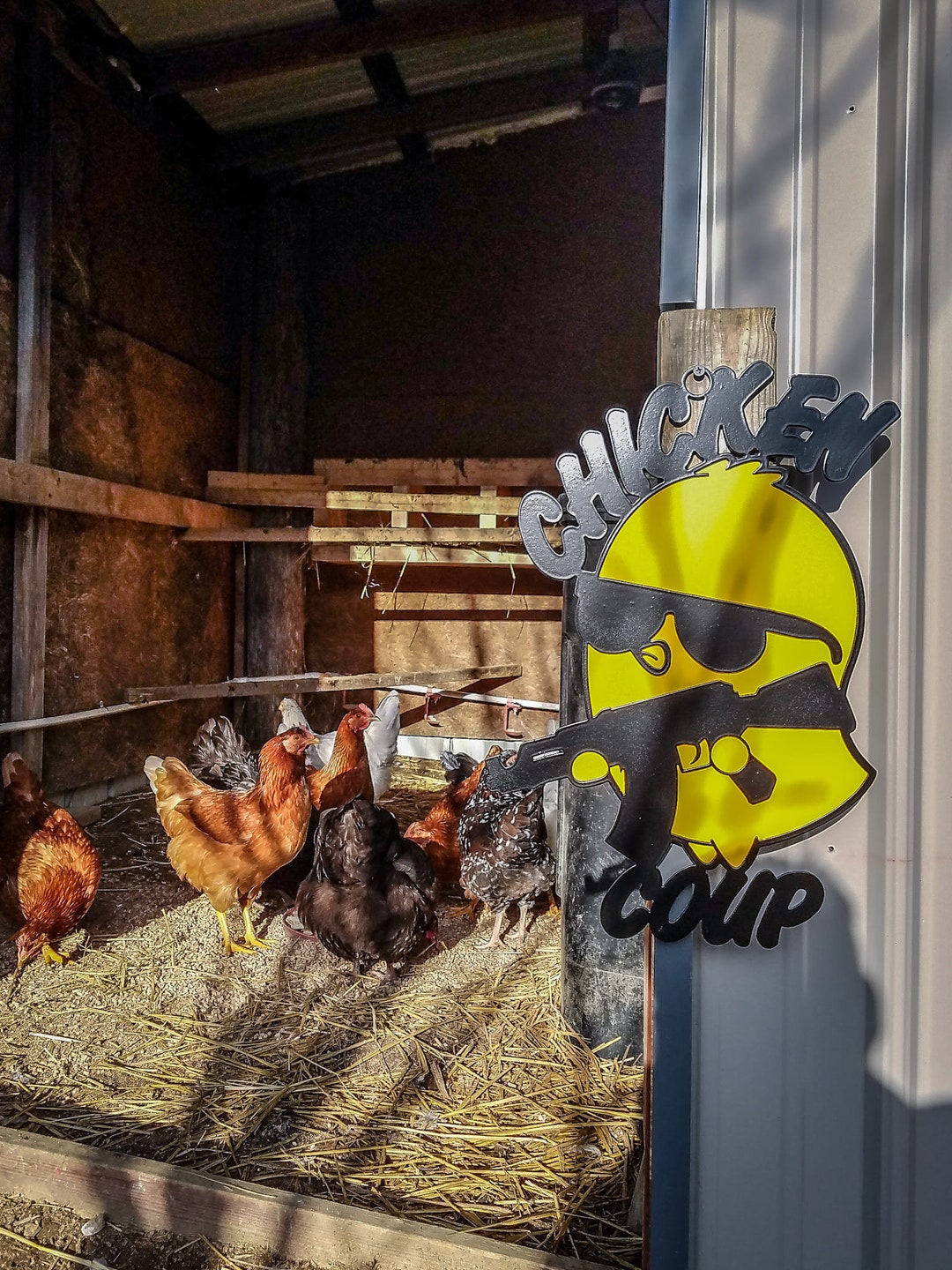 Chicken Coup Dxf/svg - Brightnite Metalworx Digital Download - Laser ...