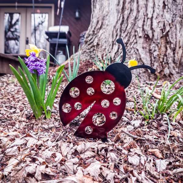 Ladybug Decor - Etsy