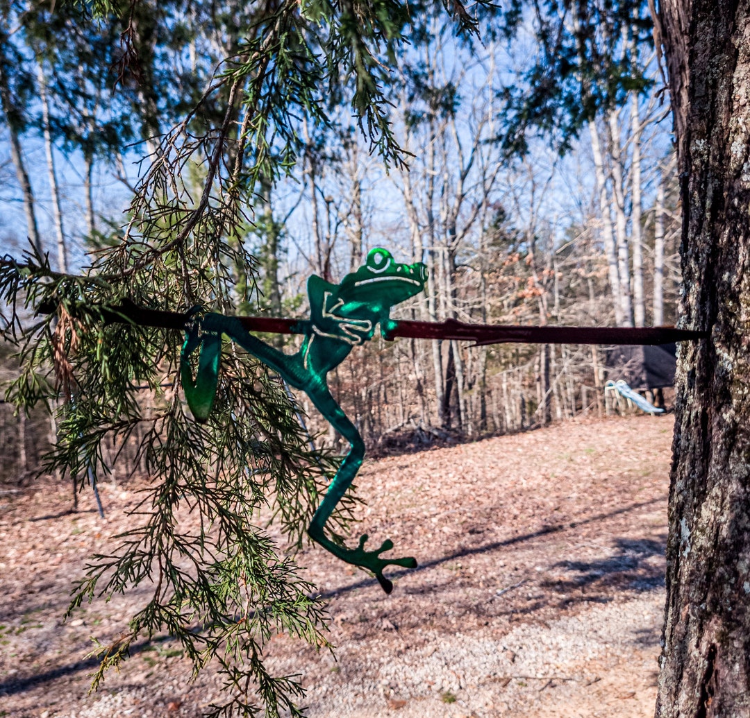 Frog 8 Gargen Decor Spring Dxf/svg - Brightnite Metalworx Digital ...