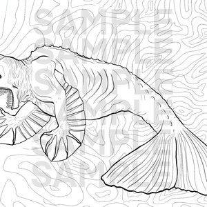 Anglerfish Merfolk, Mermaid, Creepy, Mermay, Cryptid, Adult, Spooky ...