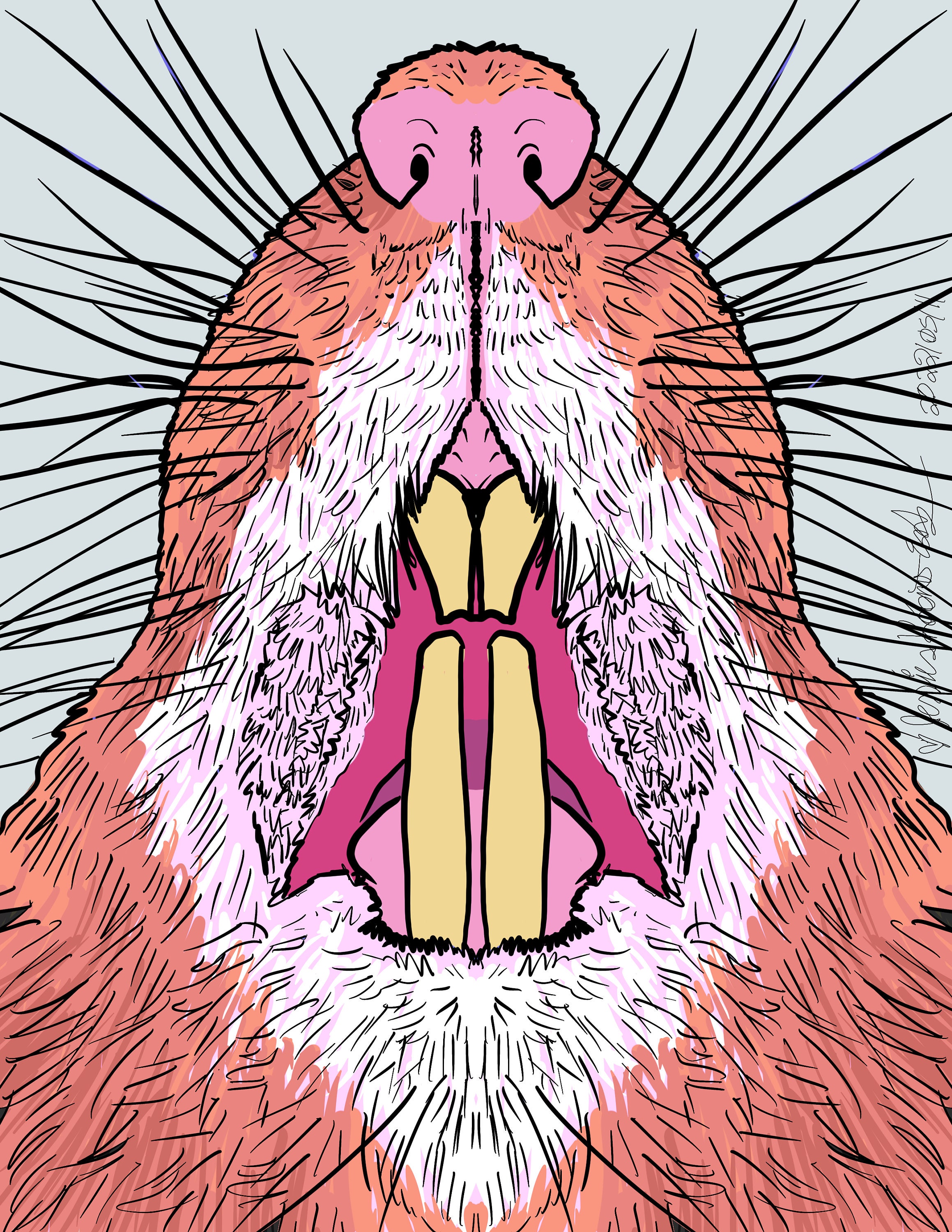 Rat Snoot Coloring Page, Snout, Snozz, Nose, Mouth, Tongue, Cute, Fun ...
