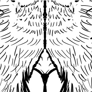 Rat Snoot Coloring Page, Snout, Snozz, Nose, Mouth, Tongue, Cute, Fun ...