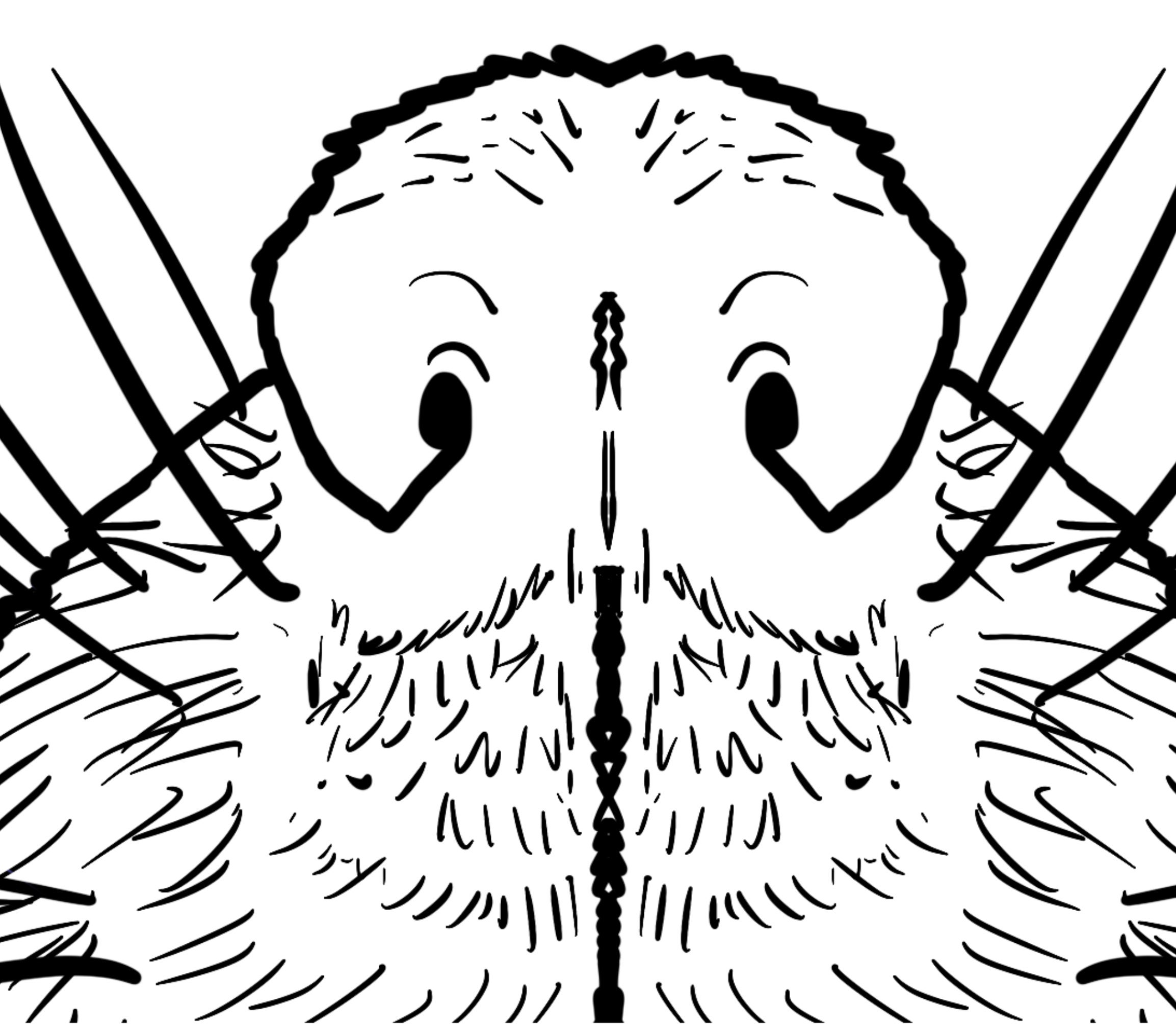 Rat Snoot Coloring Page, Snout, Snozz, Nose, Mouth, Tongue, Cute, Fun ...