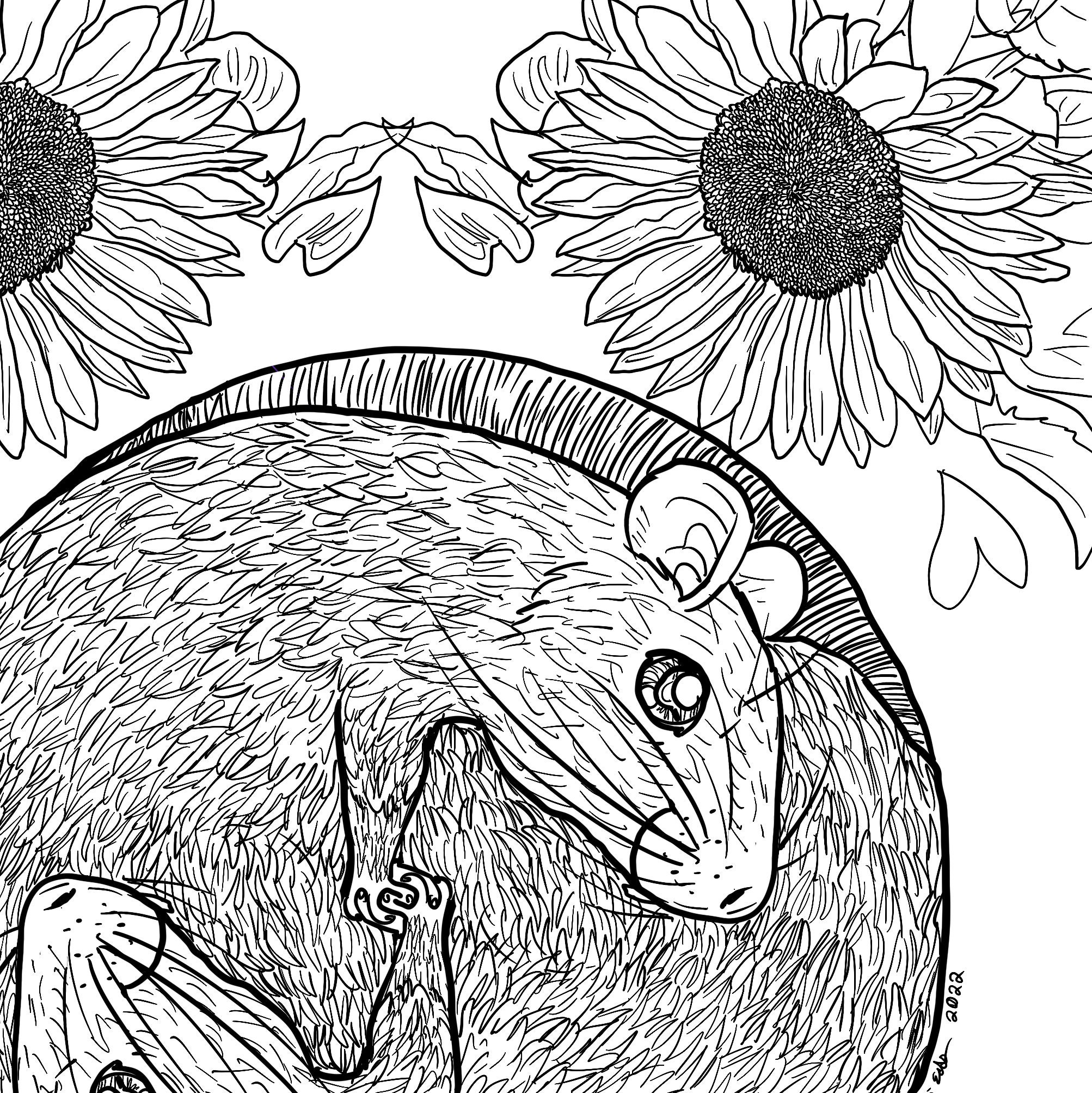 Rat Yin Yang Coloring Page, Cute, Fun, Animal Coloring Page, Pet Rats ...