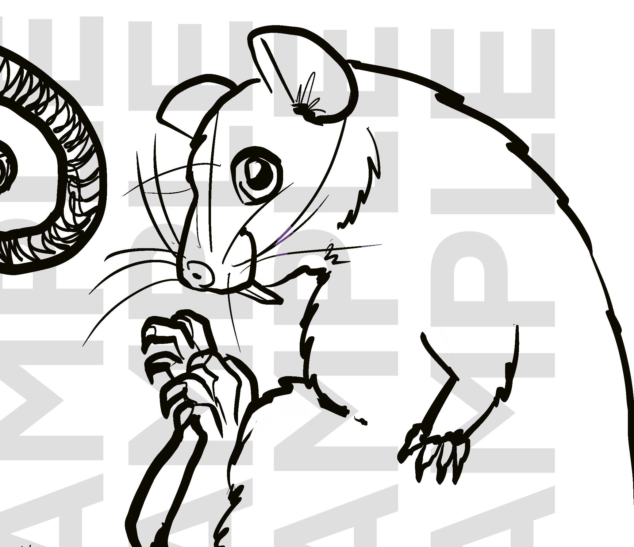 Fat Rat Sitting on His Biscuit, Cute Pet Rat, Rats, Animals, Fun, Silly ...