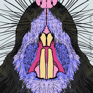 Rat Snoot Coloring Page, Snout, Snozz, Nose, Mouth, Tongue, Cute, Fun ...