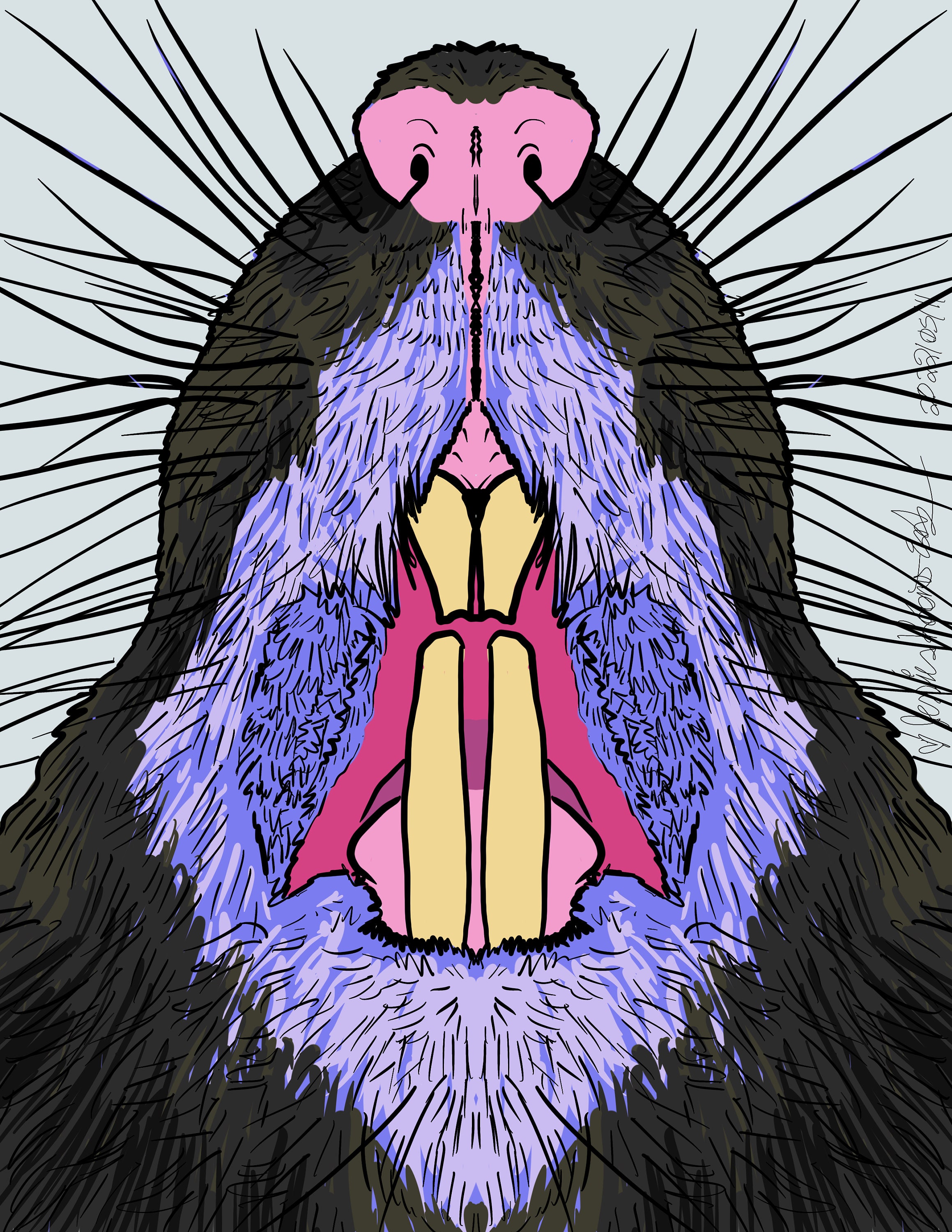 Rat Snoot Coloring Page, Snout, Snozz, Nose, Mouth, Tongue, Cute, Fun ...