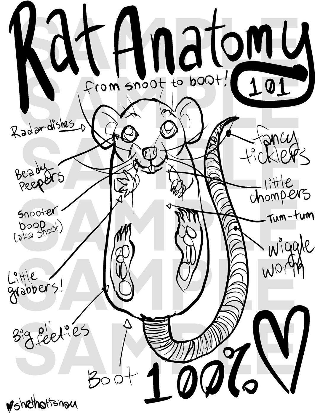 Rat Anatomy, Cute Animal, Fun, Silly, Ratty Coloring Page, Pet Rats ...