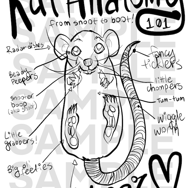 Adult Anatomy Coloring Page - Etsy