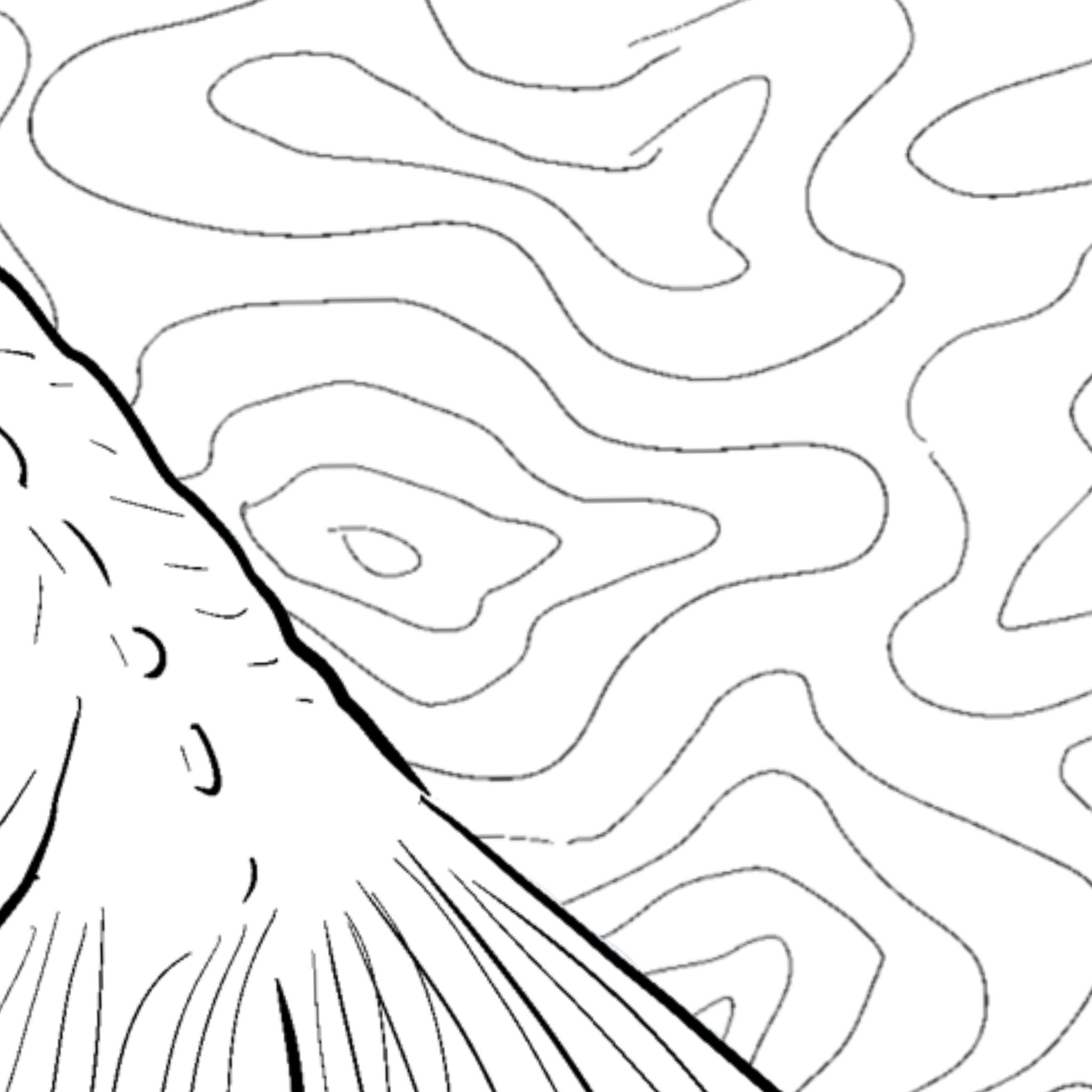 Anglerfish Merfolk Mermaid Creepy Mermay Cryptid Adult - Etsy