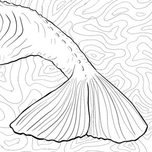 Anglerfish Merfolk Mermaid Creepy Mermay Cryptid Adult - Etsy