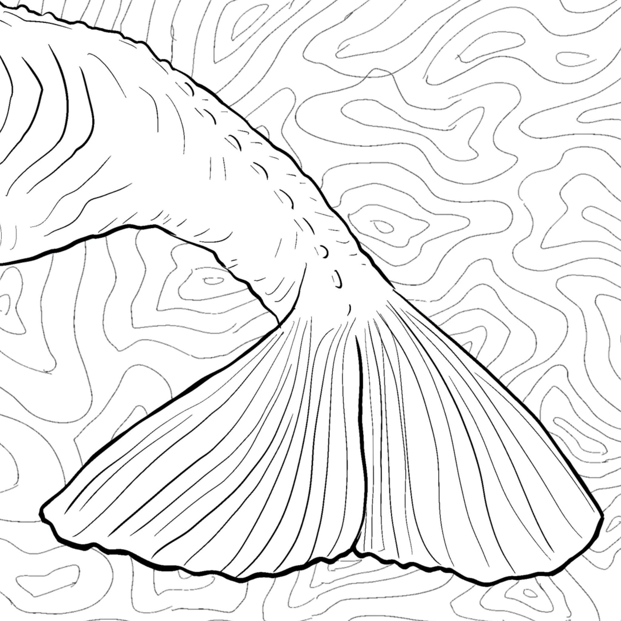 Anglerfish Merfolk Mermaid Creepy Mermay Cryptid Adult - Etsy