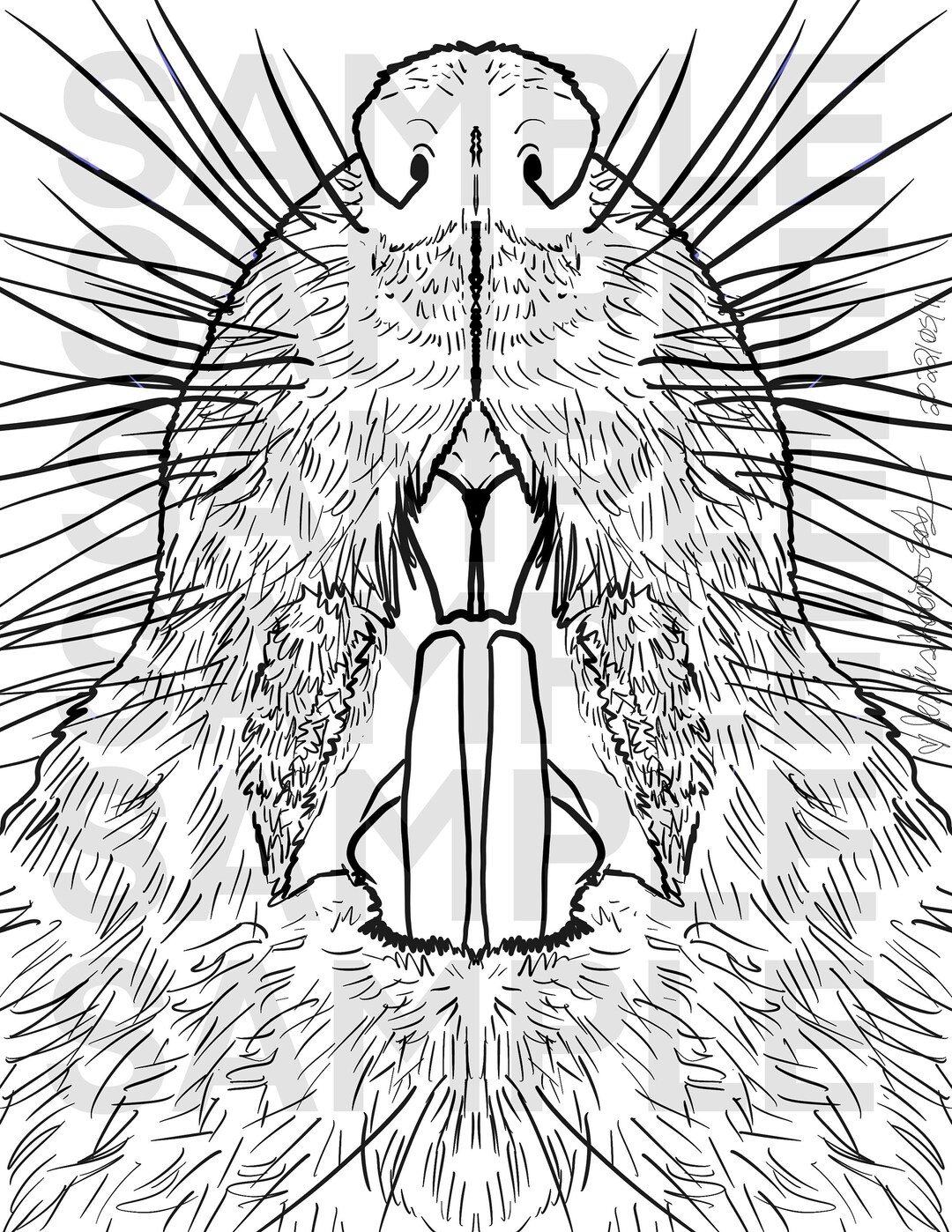 Rat Snoot Coloring Page, Snout, Snozz, Nose, Mouth, Tongue, Cute, Fun ...