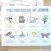 Jesus Miracles Crafts, VBS Kids Craft File, Miracles of Jesus for Kids ...