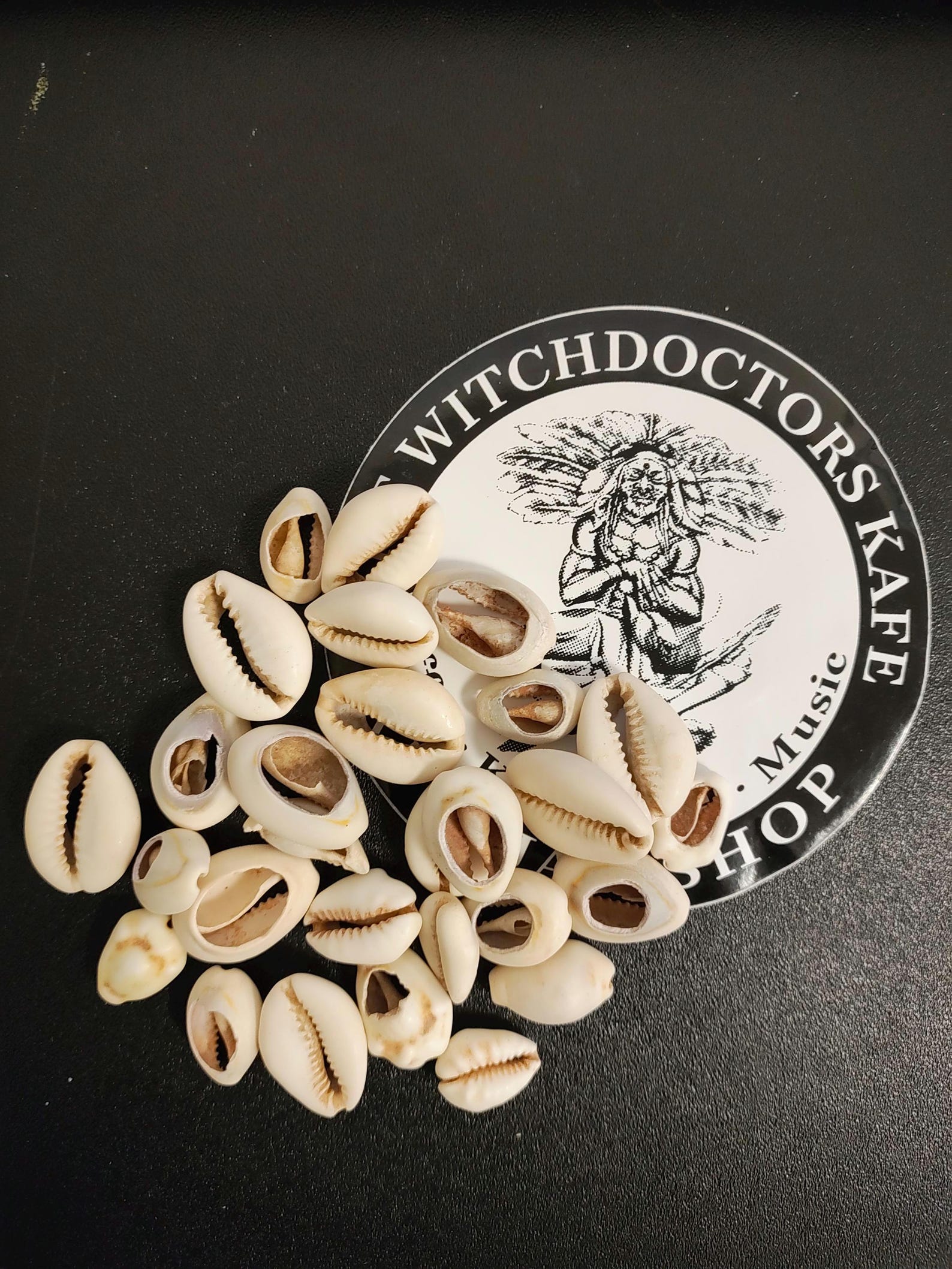 Kenyan Cowery Shells - Etsy