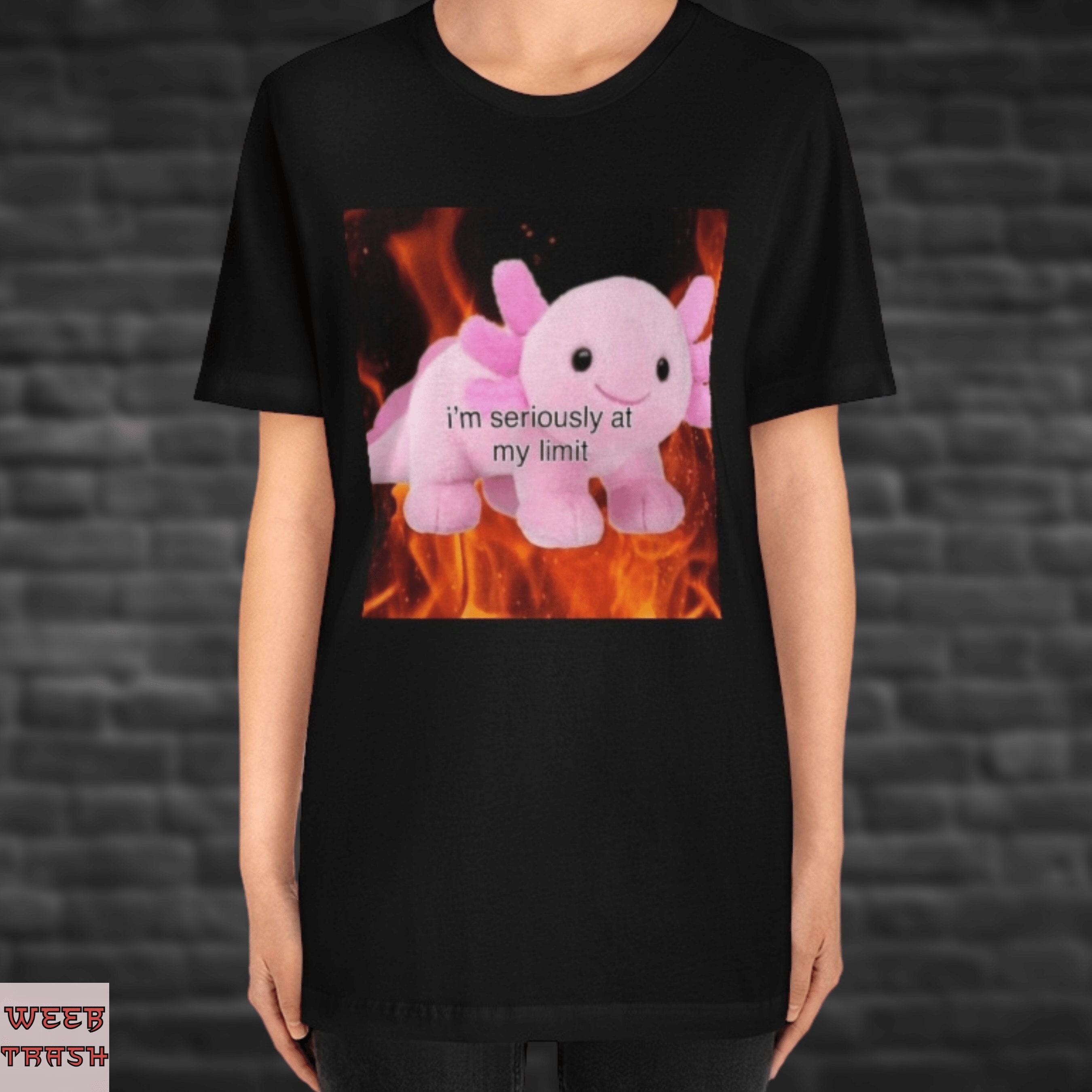 Axolotl Fire Meme - Etsy Australia