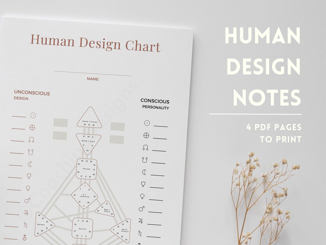 Human Design Bodygraph Notes for Readings | Human Design Chart PDF ...