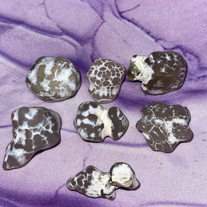 Snakeskin Agate - Etsy