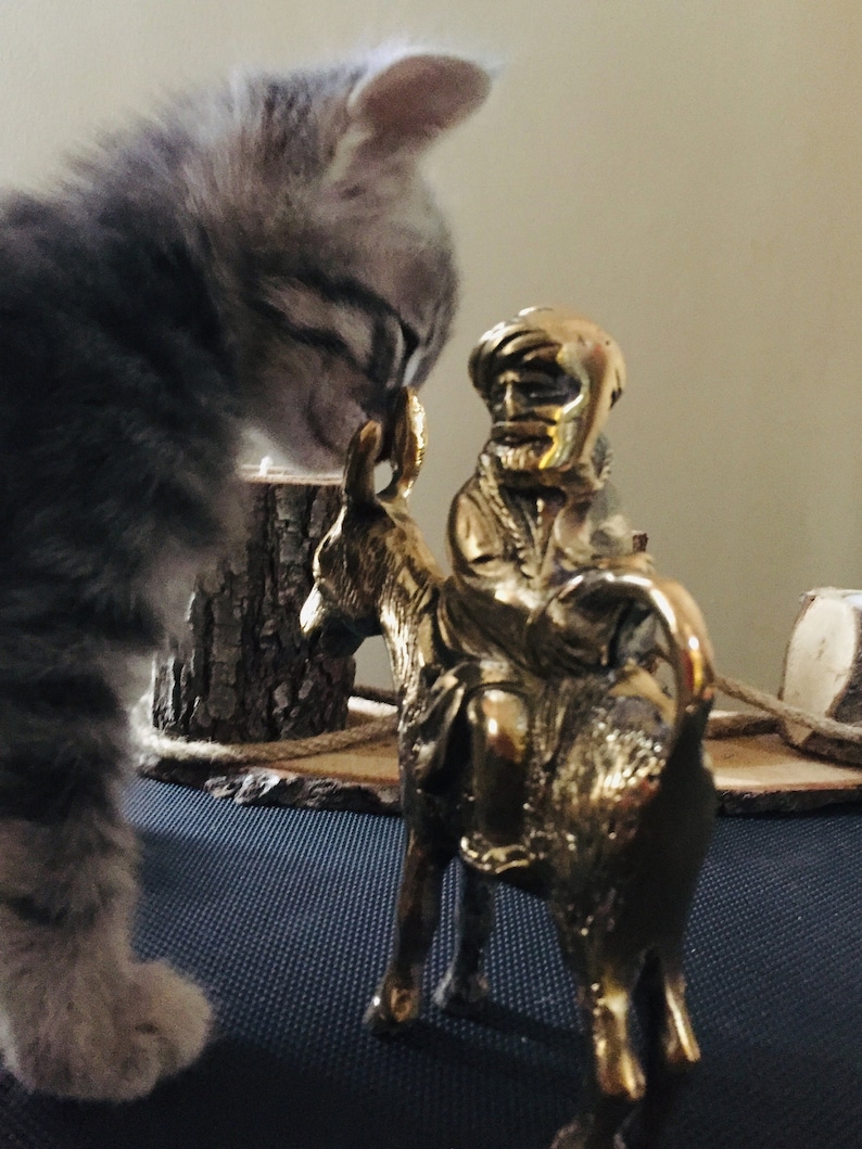 Donkey Figurine / Man Riding A Donkey Backwards / Brass Donkey and Man ...