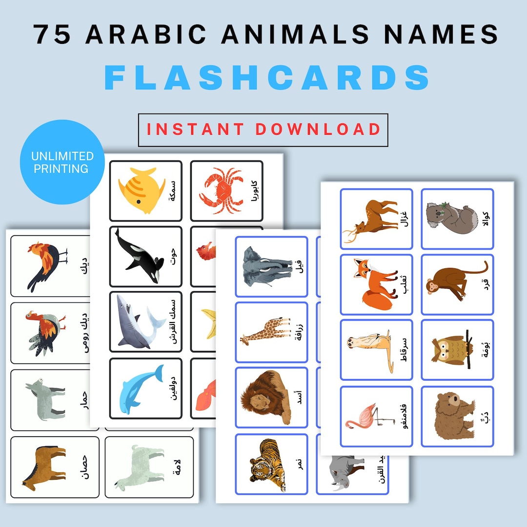 75 Animals Arabic Names Flashcards. Arabic Flashcards Ideal for Arabic ...