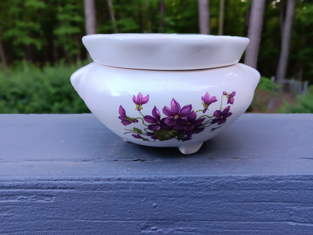 African Violet Pot, Two Piece, Self-watering Decorated With Violets ...