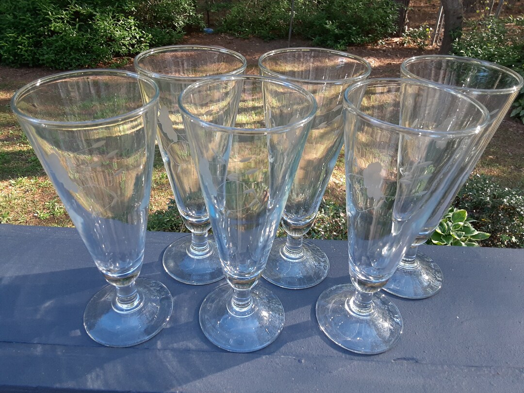 Six Princess House Pilsner Glasses, Heritage Pattern, Like New ...
