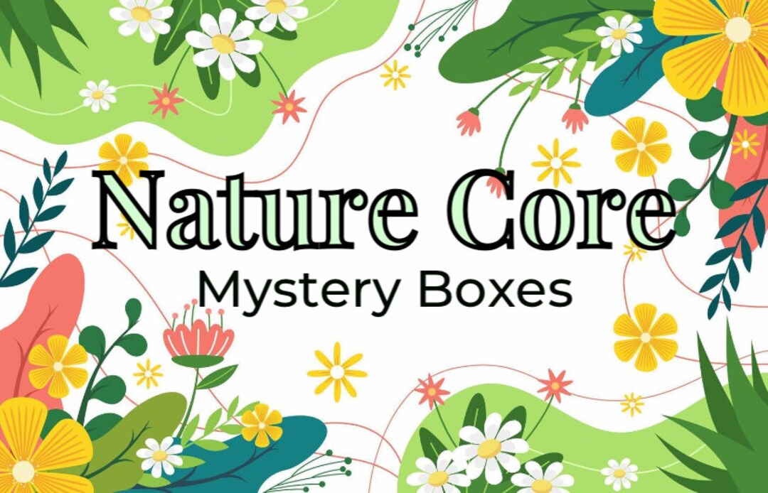 Naturecore Mystery Bundle Self Care Box Surprise LUCKY Dip Jewelry ...