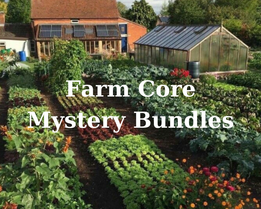 Farm Core Girly Aesthetic Jewelry Mystery Bundle. Mystery Jewelry Box ...