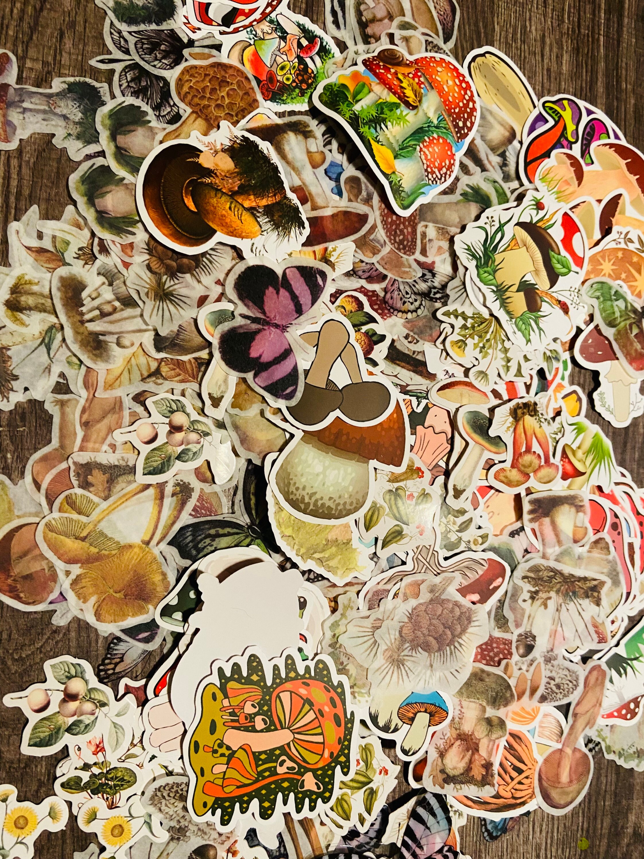 Pixie Fairy Stickers. Fae Sticker Bundle Plant Stickers Mystery Sicker ...