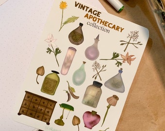 Apothecary Sticker Sheet - Etsy