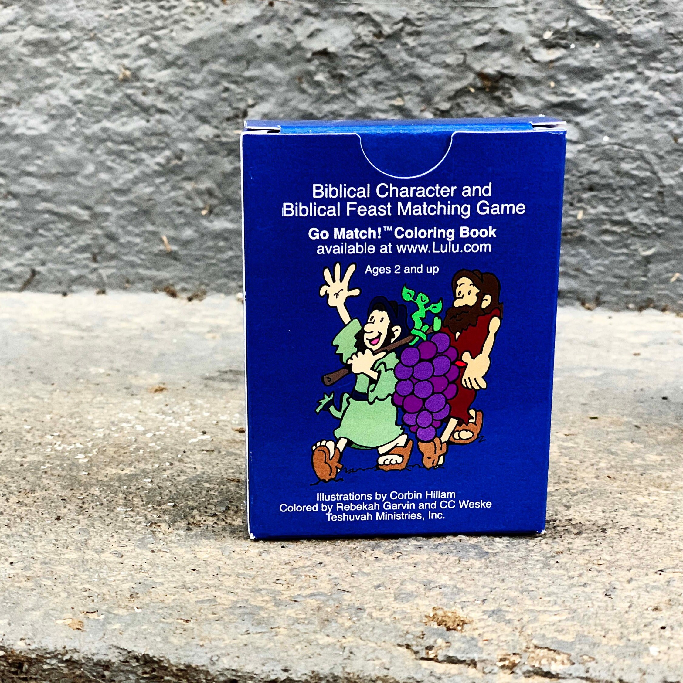 A Bible Story Card Game for the Whole Family, "go Match!" | Biblical ...