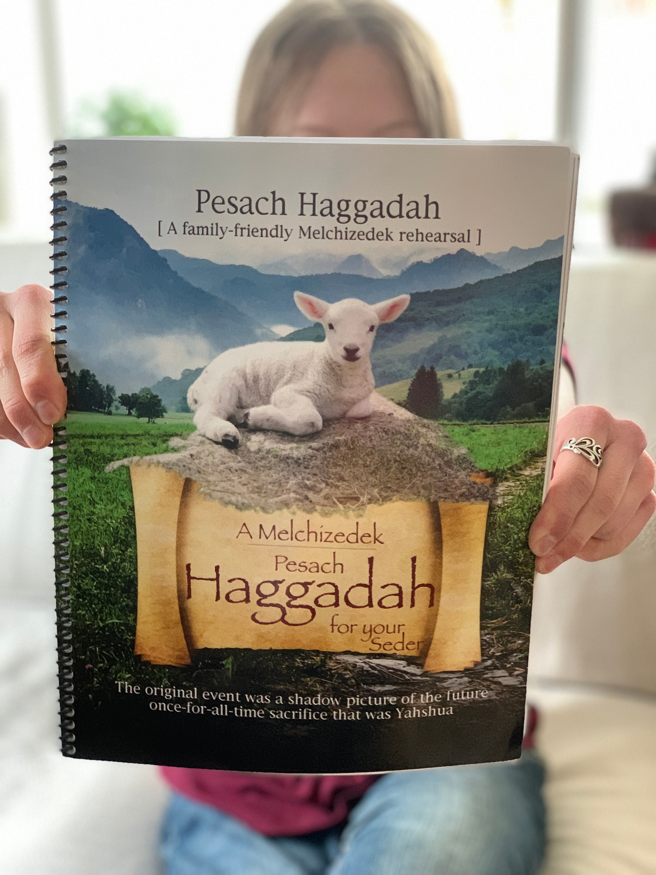 Family Friendly Passover Seder Haggadah PDF Covering the - Etsy