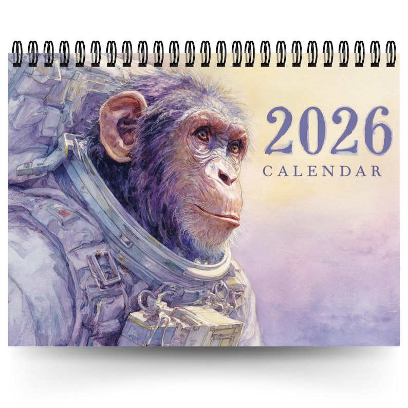 2026 Space Monkey Wall Calendar | Quirky Novelty Gift - Etsy