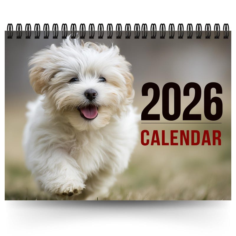 The Paw Print Calendar 2026 - Etsy