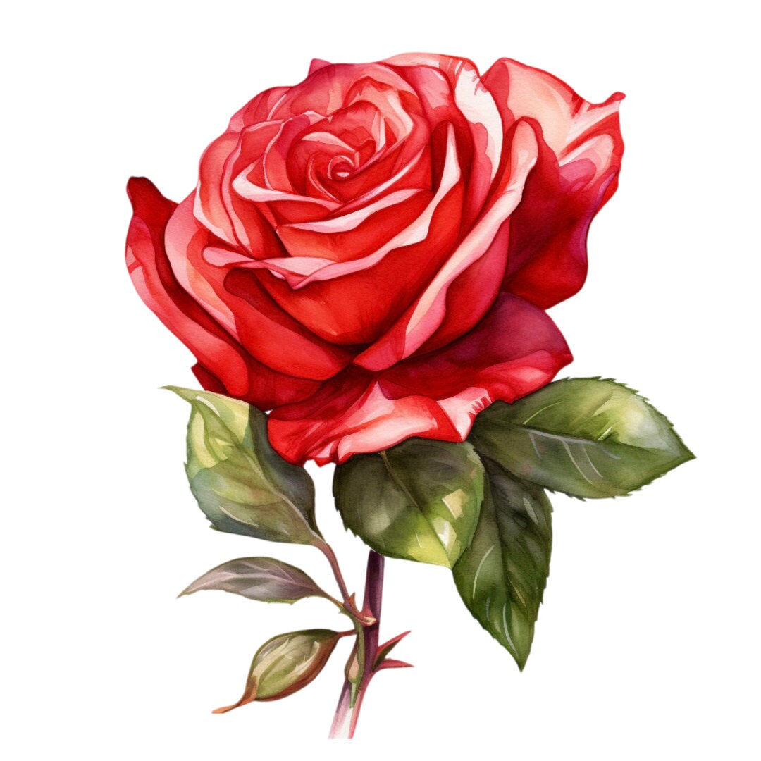 Cross Stitch Red Rose Flower PDF Counted Cross Stitch Pattern Wall ...