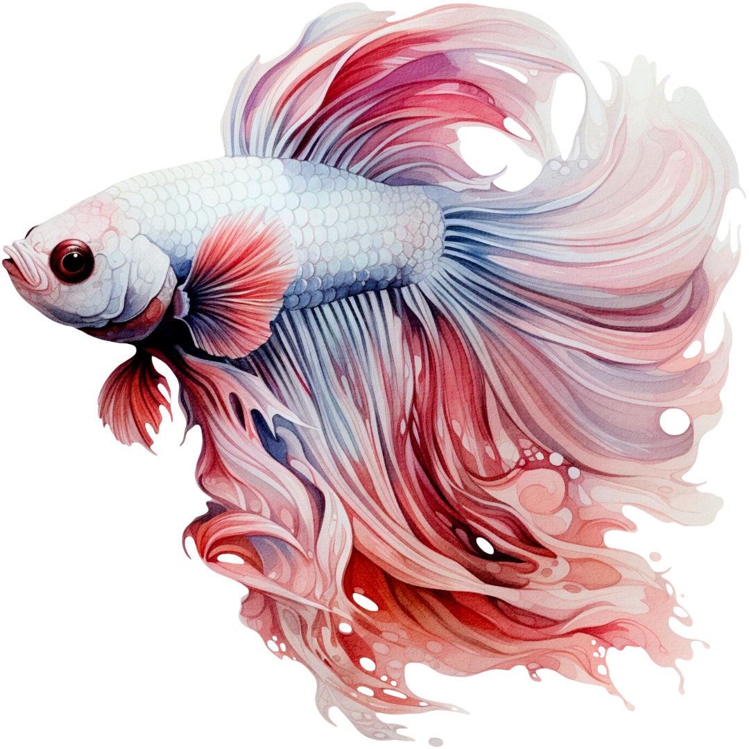 Cross Stitch Siamese Fighting Fish Betta 14 PDF Counted Cross Stitch ...