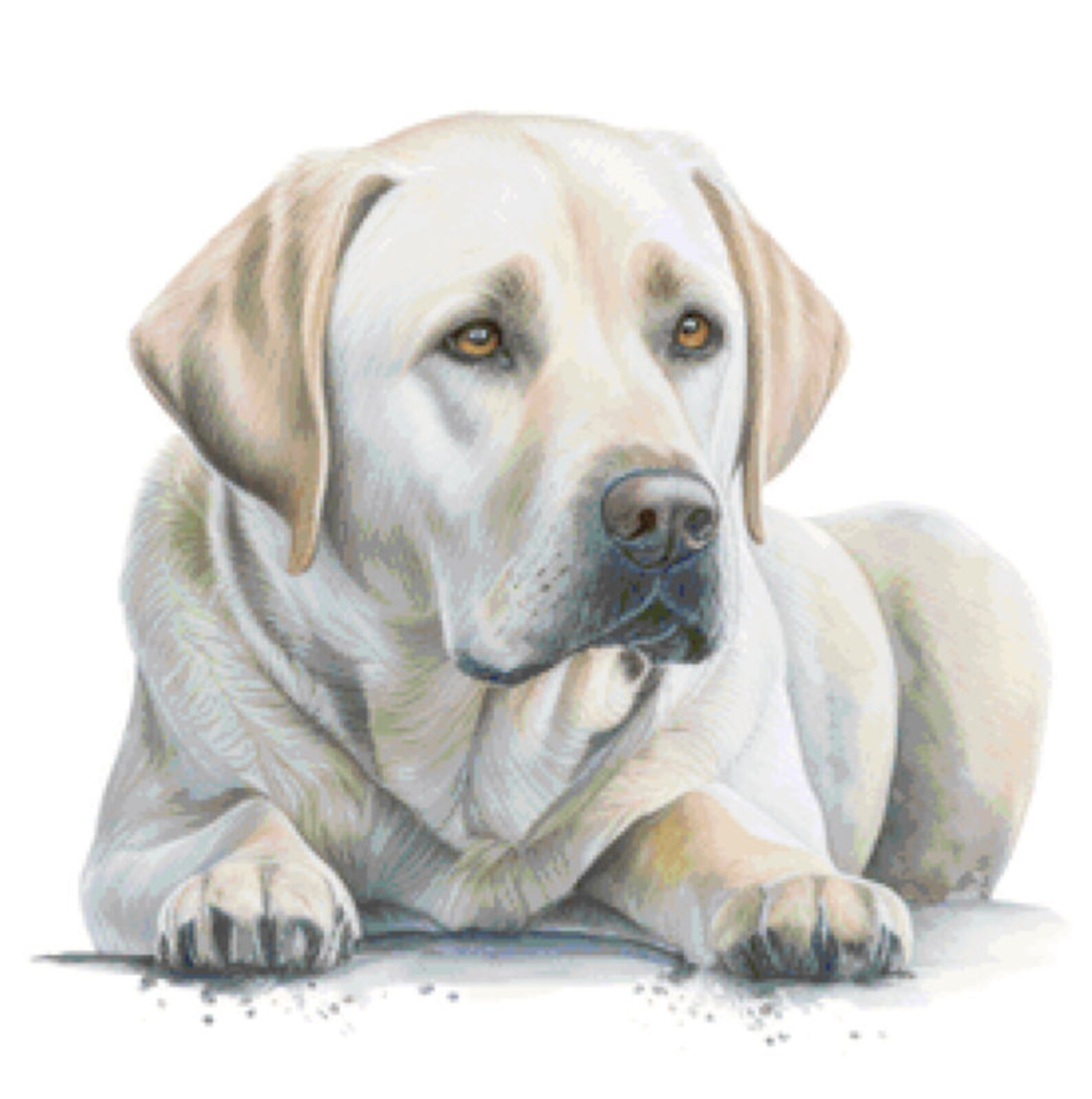 Cross Stitch Labrador Retriever 4 PDF Counted Cross Stitch Pattern ...