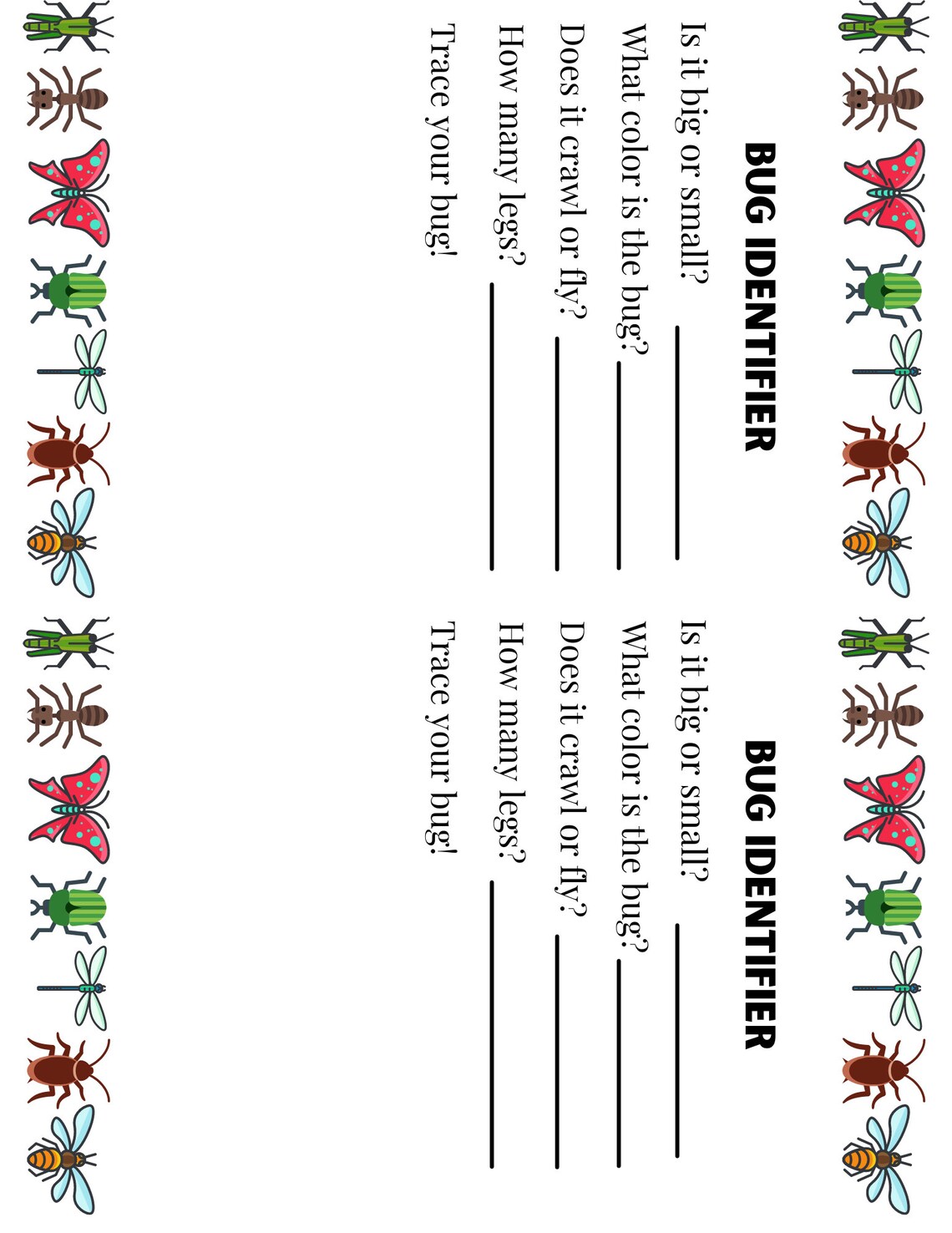 Bug Identifier Printable - Etsy