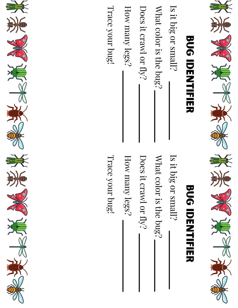 Bug Identifier Printable - Etsy