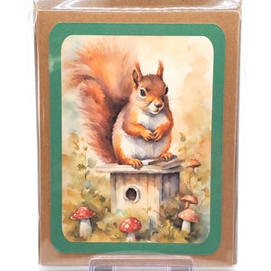 Squirrel Note Cards, Woodland Animal Note Cards, Squirrel Lover Gift - Etsy