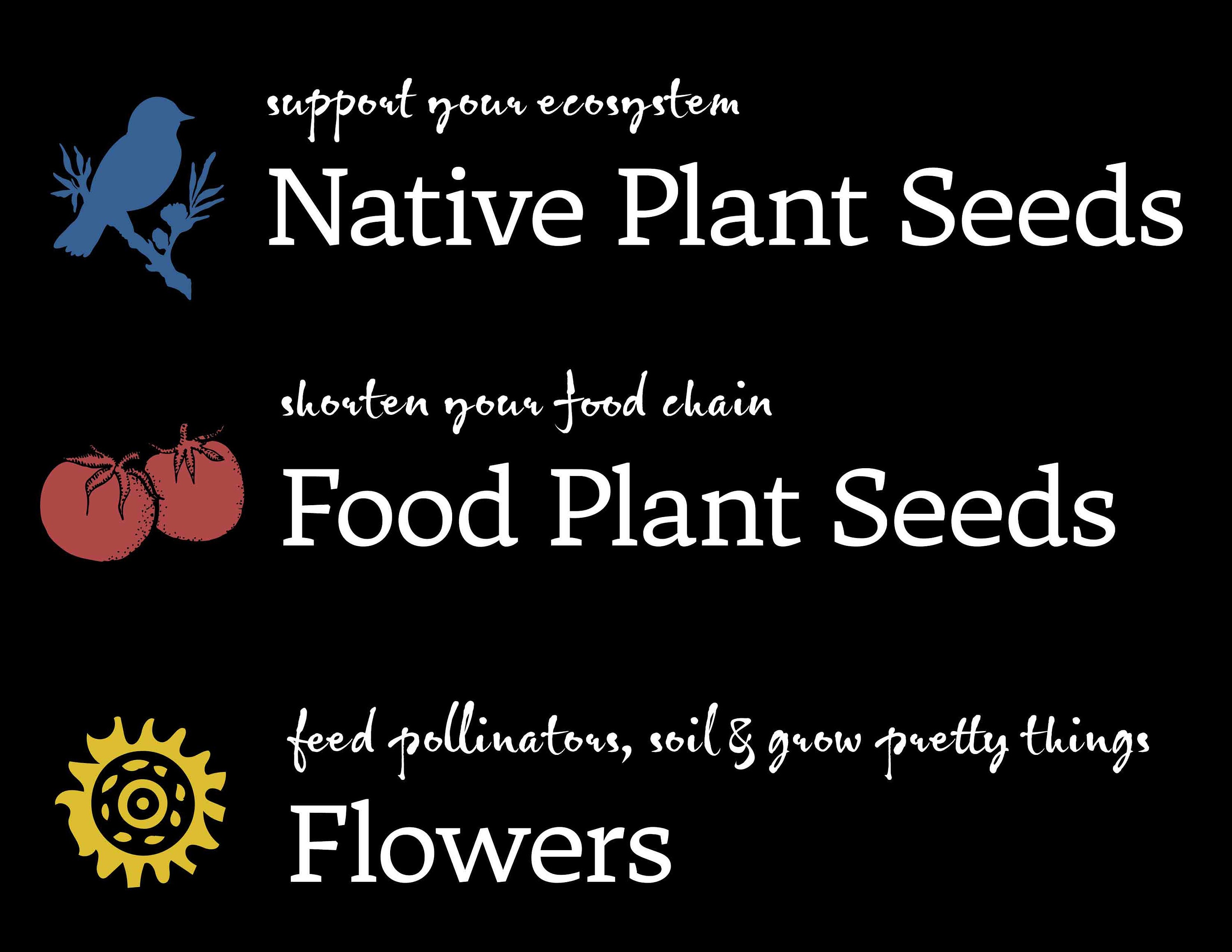 Printable Labels for Little Free Seed Library - Etsy