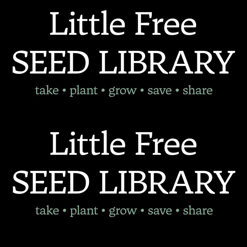 Little Free Library Box - Etsy