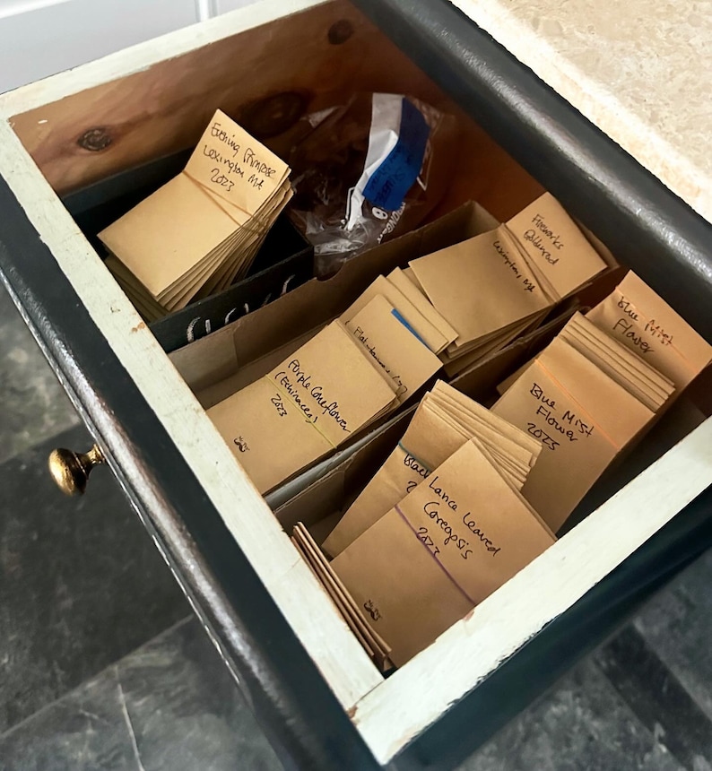 Printable Labels for Little Free Seed Library - Etsy