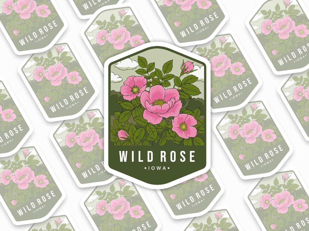 Handmade Vinyl Sticker - Iowa State Flower "wild Rose", Sticker for ...