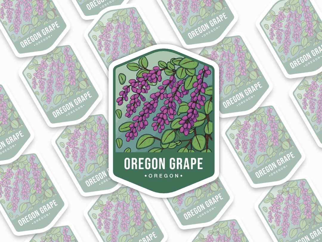 Handmade Vinyl Sticker (UV and Water Resistant)- Oregon State Flower ...