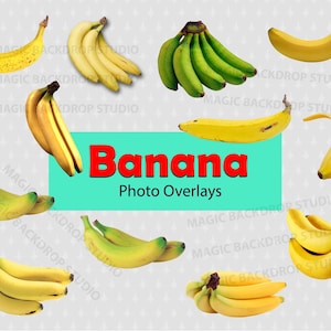 Banana Bananas Fruit PNG Bundle Foods Fruits Photo Yellow Clip Art ...