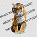 Tiger Tigers Wild Big Cat Animal Zoo Digital Overlay Photoshop Mock up ...
