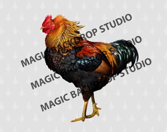 Chicken Photoshop Overlay - Etsy