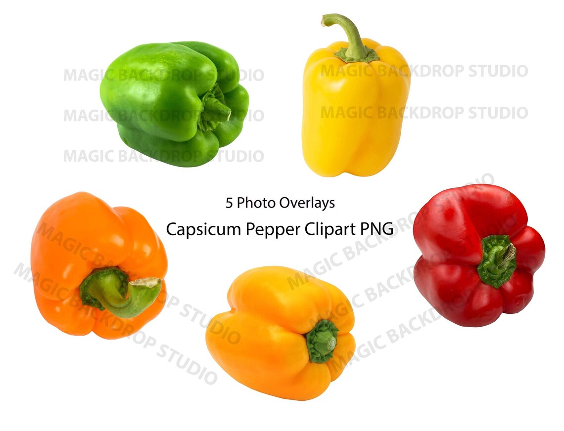 Capsicum Pepper PNG Bell Pepper Foods Vegetable Vegetables Clip Art ...